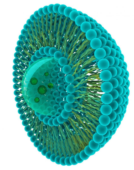 NAD⁺ Complete (Liposomal) – Renue By Science