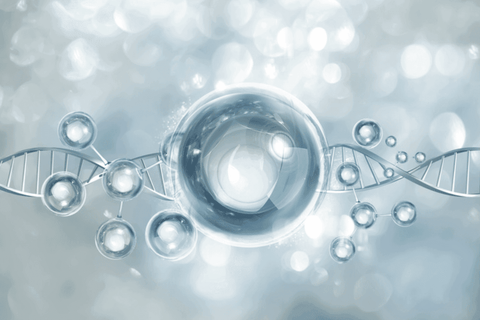 FAQ – Renue By Science