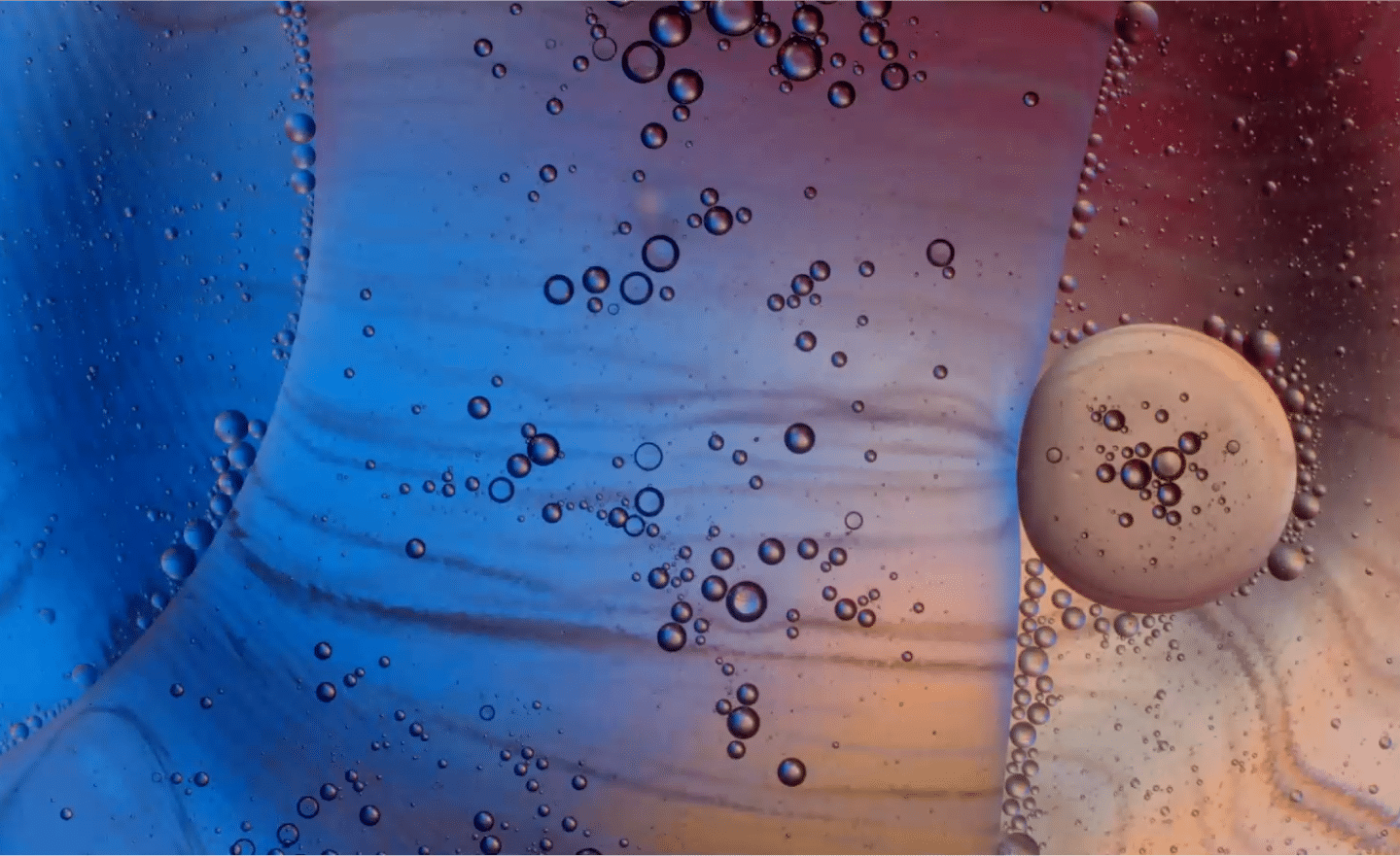 Drivers-Of-Nad – Renue By Science